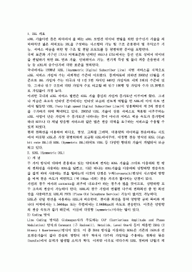  초고속인터넷서비스들의 원리와 차이점-1페이지