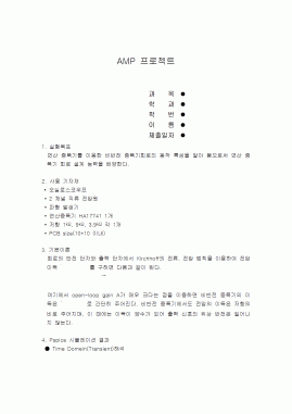  AMP 프로젝트-1페이지