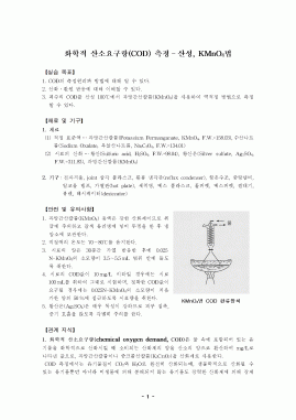  산성 KMnO4법에 의한 COD 측정-1페이지