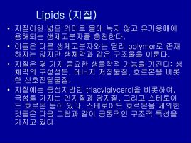 Lipids(지질)에 관한 조사자료 -1페이지