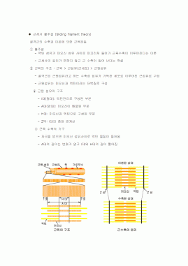 근세사 활주설이란????-1페이지