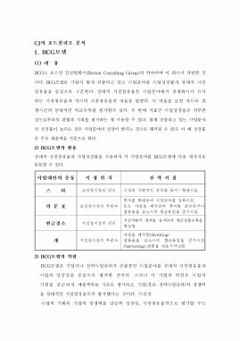 CJ의 포트폴리오 분석(예시)-1페이지