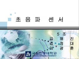 초음파 센서의 시장 조사 , 응용 분야 , 기술 동향에 대한 분석-1페이지