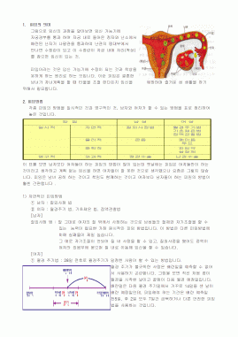 피임에 관한 정리 자료-1페이지