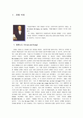 독일문예학 ( 괴테에 관하여 )-1페이지