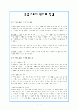 공공부조제도의 원리와 특성 및 전망-1페이지