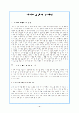 [사이버 문화] 사이버공간의 문제점-1페이지