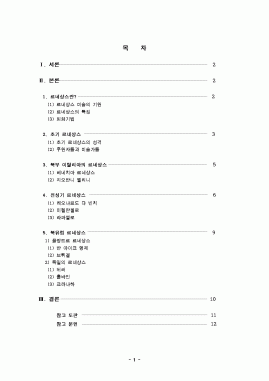 [서양미술사]르네상스의 흐름과 특징-1페이지