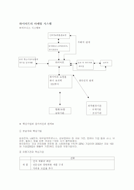 하이마트 마케팅 시스템-1페이지