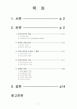 프로스포츠와 한국-1페이지