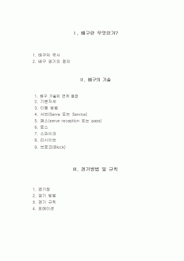 [예체능] 배구에 관하여-1페이지