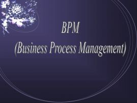 BPM(Business Process Management)의 정의-1페이지