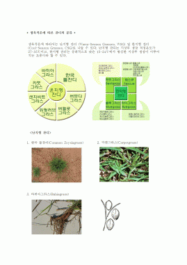 생육적온에 따른 잔디의 분류와 사진-1페이지