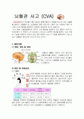 뇌경색( 문헌고찰-그림포함)-1페이지