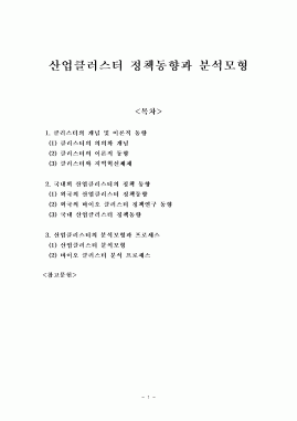 산업클러스터 정책동향과 분석모형-1페이지