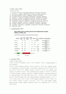 BAK1 단백질의 모티브 분석-1페이지