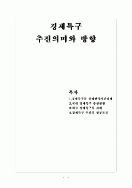 경제특구 추진의미와 방향-1페이지