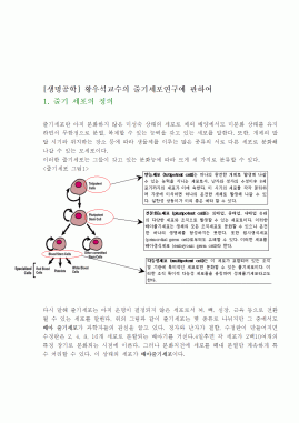 [생명공학] 황우석교수의 줄기세포연구 레포트-1페이지