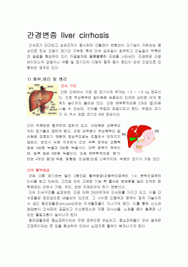 간경변증(문헌고찰-그림다수포함)-1페이지