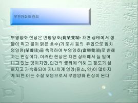 부영양화의 원인과 해결방안(녹조,적조현상포함)-1페이지