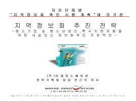 내실있는 지역정보화의 필수 조건과 제안-1페이지