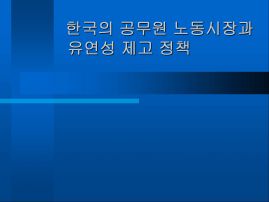 한국의 공무원 노동시장과 유연성 제고 정책-1페이지