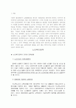 [사회복지] 노인복지정책의 실태와 발전방향-1페이지