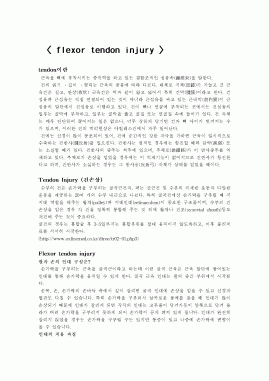 Flexor tendon injury / 굴곡건 손상-1페이지