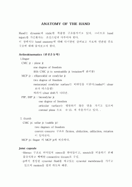 손의 해부 / ANATOMY OF THE HAND-1페이지