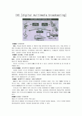 DMB 도입관련 주요 쟁점과 과제에 관한 고찰-1페이지