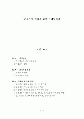 중국시장 개척을 위한 마케팅전략-1페이지