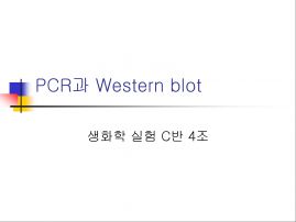 PCR (RT-PCR, Real time PCR)과 Western blot-1페이지