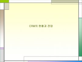 CRM의 전망과 현황 A+자료-1페이지