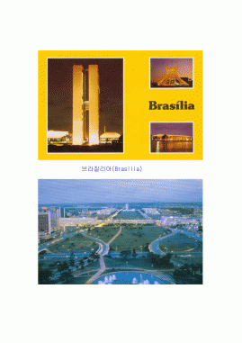 브라질의 수도이전의 문제-1페이지
