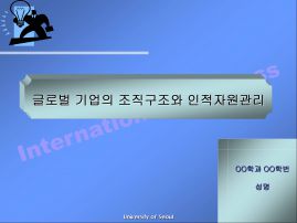 [사회과학] 글로벌 기업의 조직구조와 인적자원관리-1페이지