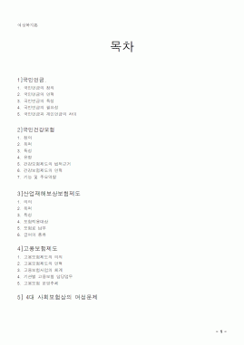 4대사회보험과 여성복지문제-1페이지