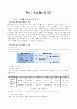 국민기초생활보장제도의 분석-1페이지