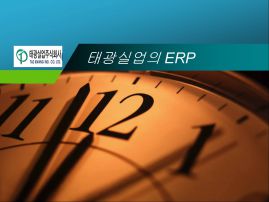 태광실업의 ERP시스템-1페이지