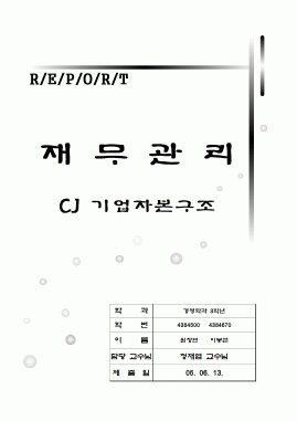 cj 자본구조-1페이지