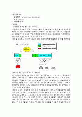 단백질 overexpression-1페이지