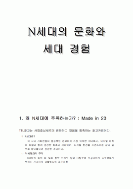 신세대,N세대 대한 개념과 분석, 고찰 [발표자료]-1페이지