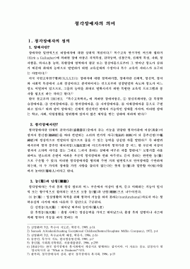 청각장애자의 의미-1페이지