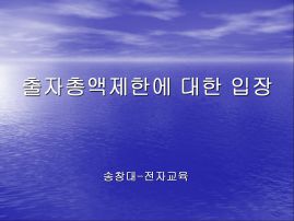 재벌의 사회적 의미와 재벌정책 - 출자 총액 제한의 의미와 분석 및 고찰 [발표자료]-1페이지