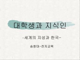 한국대학생의 문제점-1페이지