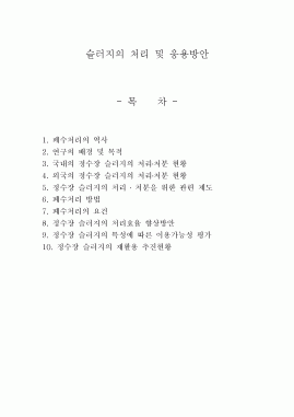 슬러지의 처리 및 응용방안-1페이지