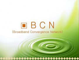 [최신기술]BCN(Broadband Convergence Network)-1페이지