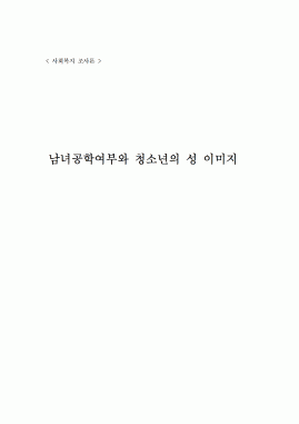 남녀공학여부와 청소년의 성 이미지-1페이지