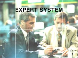 전문가 시스템 (EXPERT SYSTEM)-1페이지