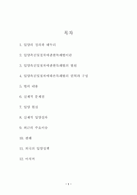 입양의 문제점과 해결방안-1페이지