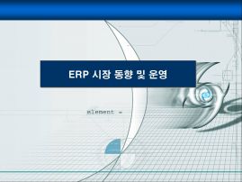 ERP 시장 동향 및 운영-1페이지